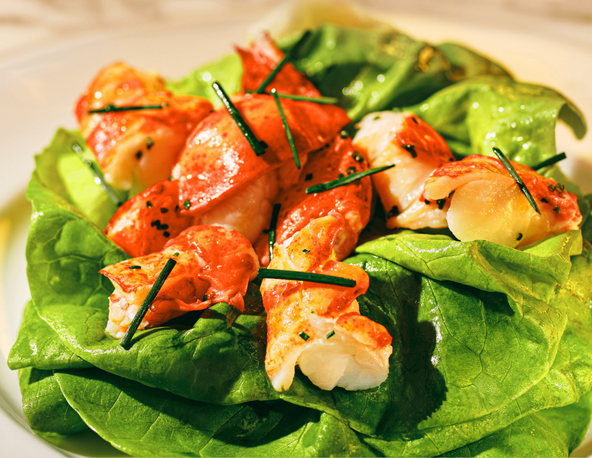 The Rooftop Restaurant at RH Marin