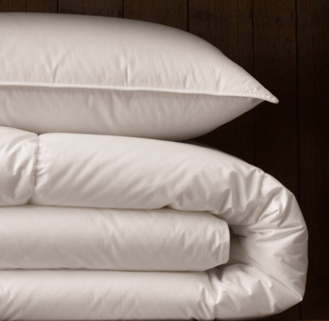 Luxury Comforter & Pillow Insert Set