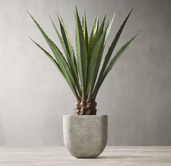 Grand Faux Agave Americana
