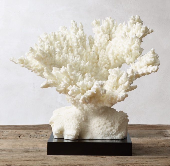 Peruvian Coral Specimen