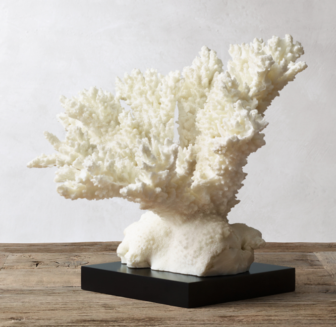 Peruvian Coral Specimen