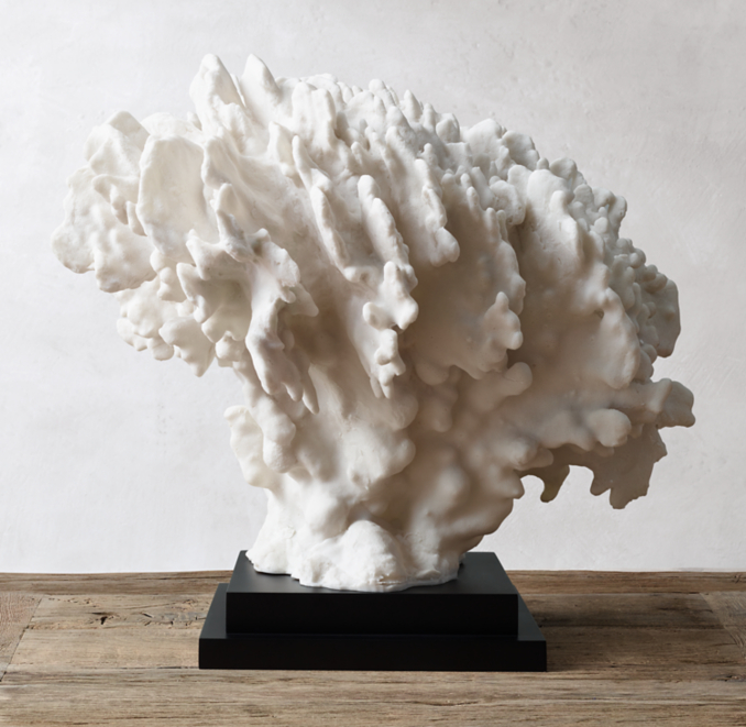 Blue Ridge Coral Specimen