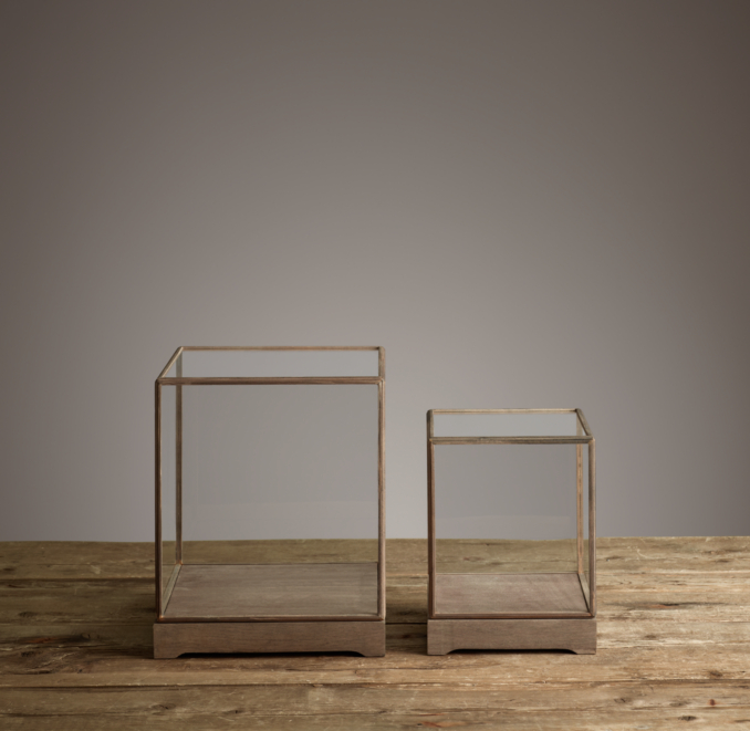 Specimen Display Case Square