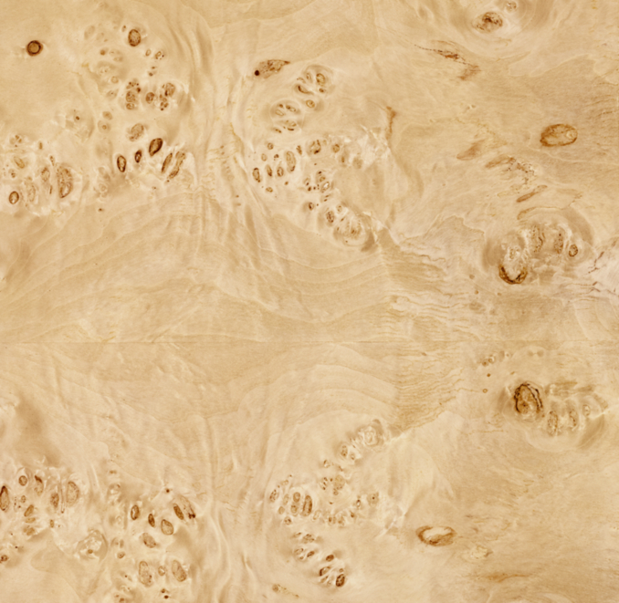 Bardot Burl Collection Wood Swatch