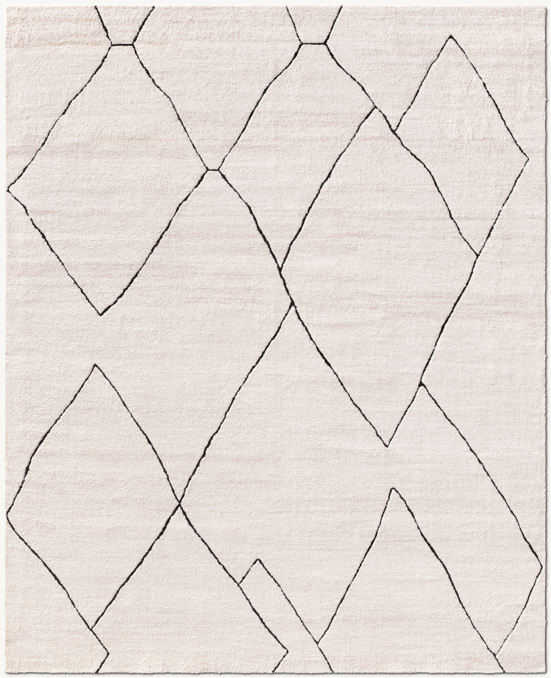 Ahsan Performance Rug | RH