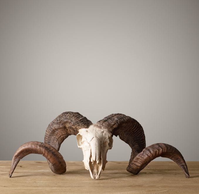 Ram Horns Cast In Resin | RH