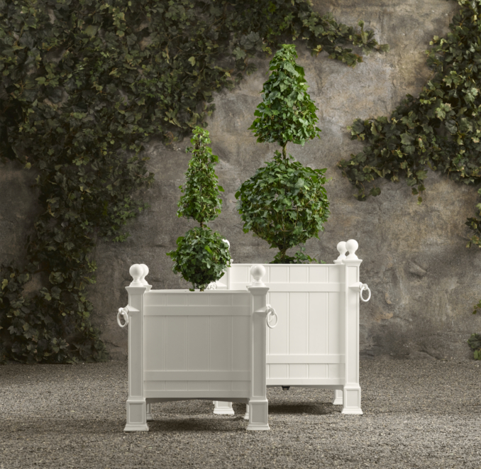 Live Cone & Ball Ivy Topiary | RH