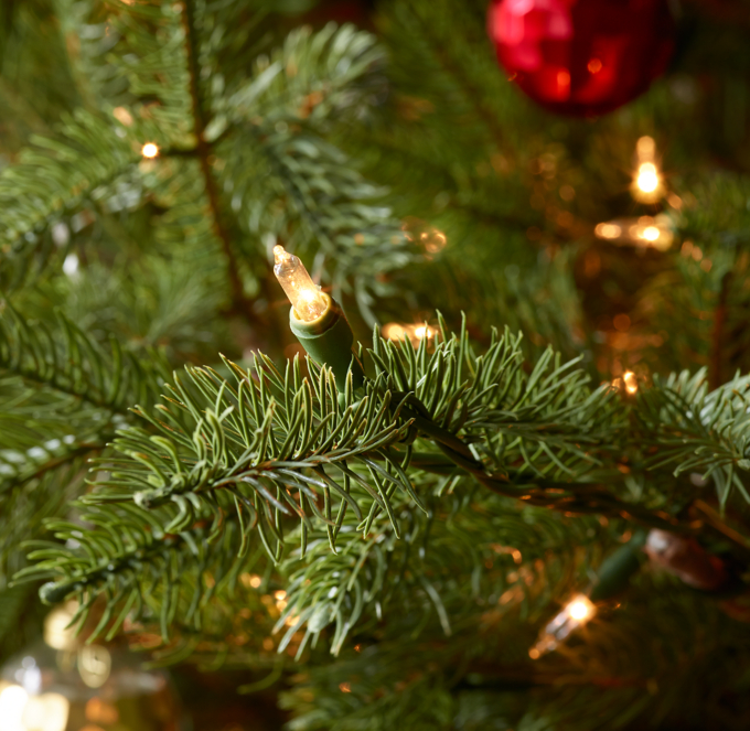 Faux Noble Fir Tree With Illuminate Technology Incandescent Bulbs RH