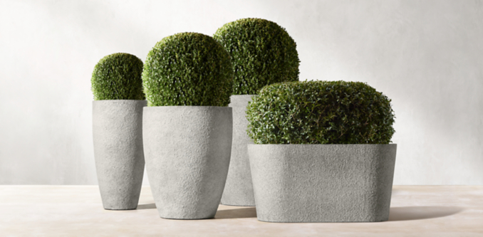 Planters | RH